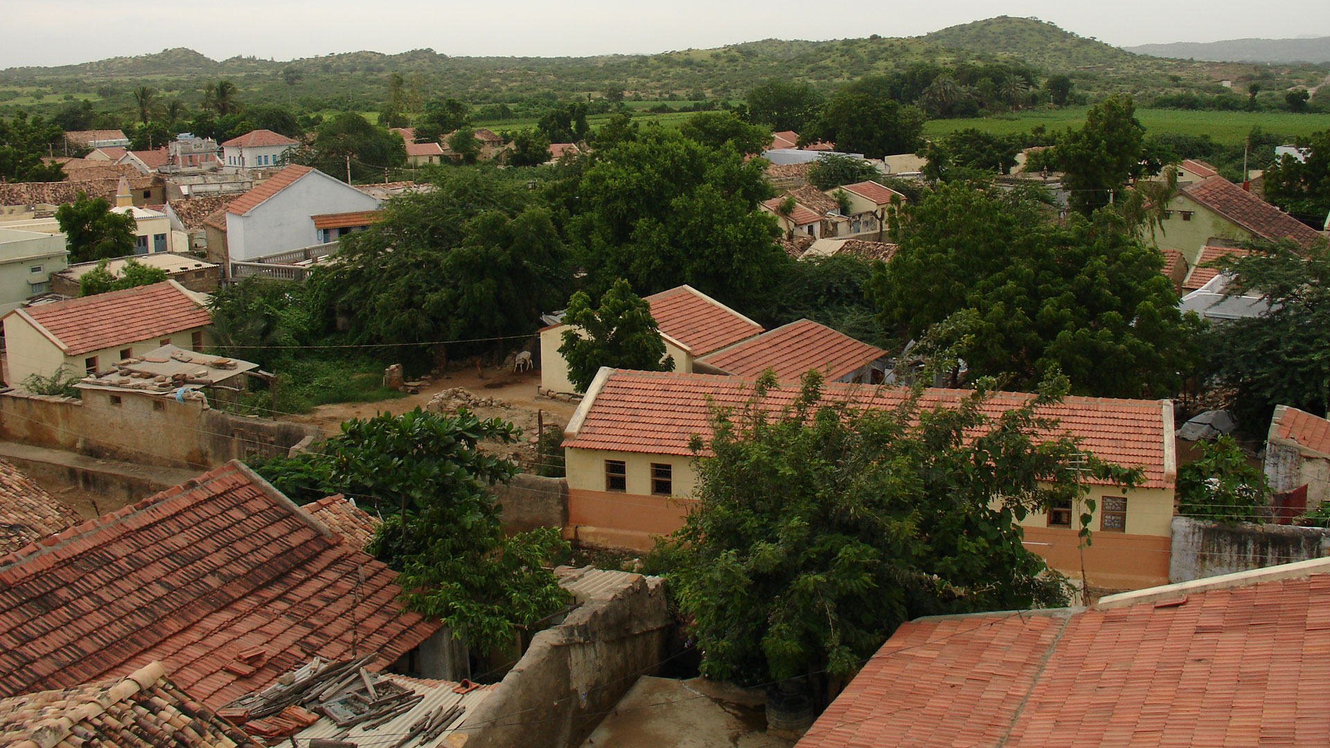 Bhadli Village - Architecture, Interiors, Planning, Conservation And ...